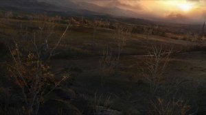 Introspective Memories - Assassin's Creed _ Ambient Soundtrack Mix