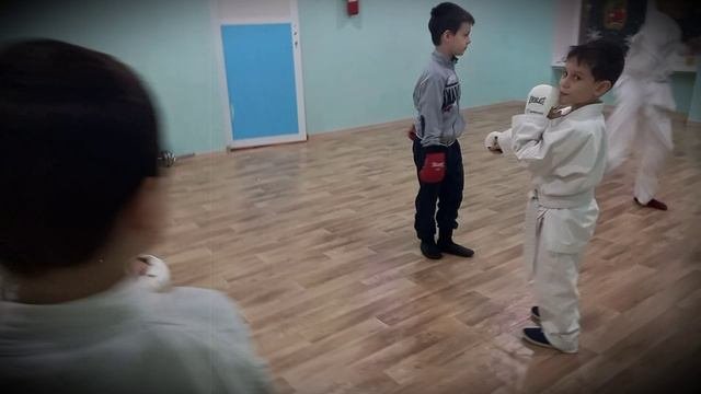 НОВИЧКИ2022