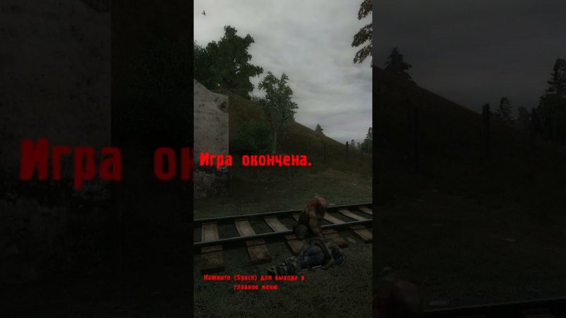 Приятного аппетита... #shorts #shortsvideo