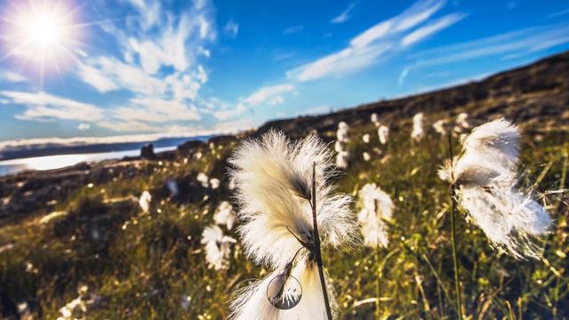 Astropilot - Whispering Winds