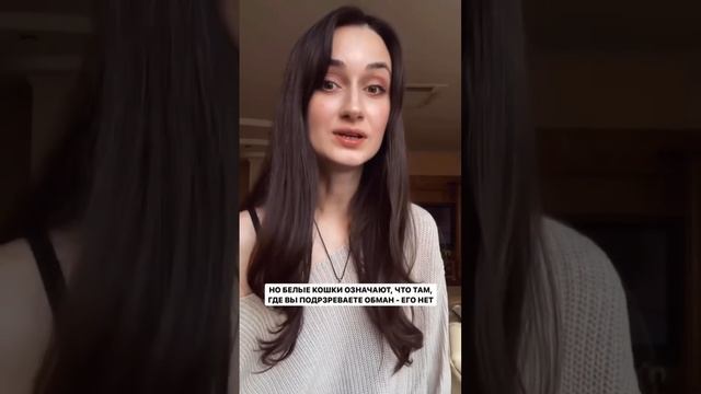 К чему снятся кошки