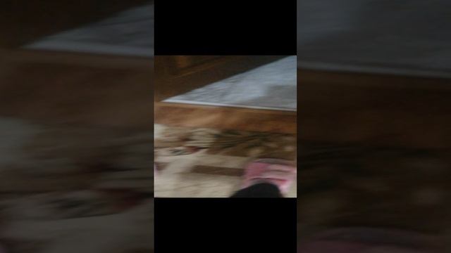 VID_20231022_191947.mp4