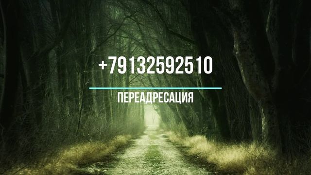 МБА из Москвы. а также Эверест Мани мэн и другие