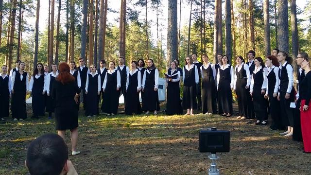 20150613_191738 Berestovo