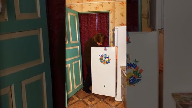 БУХОЙ БАТЯ ПРИХОДИТ В ЧАС НОЧИ ДОМОЙ #shorts-(480p)