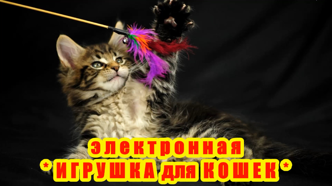 * ИГРУШКА для вашего ПИТОМЦА №1 *