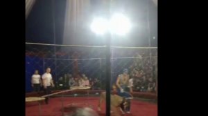 Во время циркового представления львица напала на 3-летнюю девочку