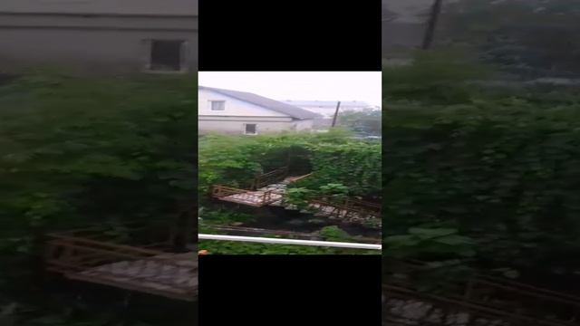 Дождь... Дождались🥵🌧️😃Урааааа