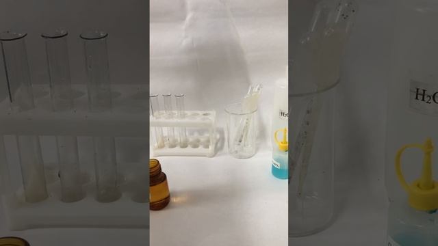 Опыт №1. Растворение глицерина в воде