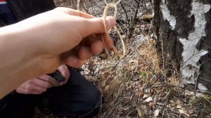 Как набрать березовый сок.На природе. Отдых