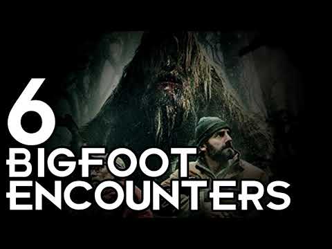 6 TRUE AND SCARY BIGFOOT ENCOUNTERS - What Lurks Beneath