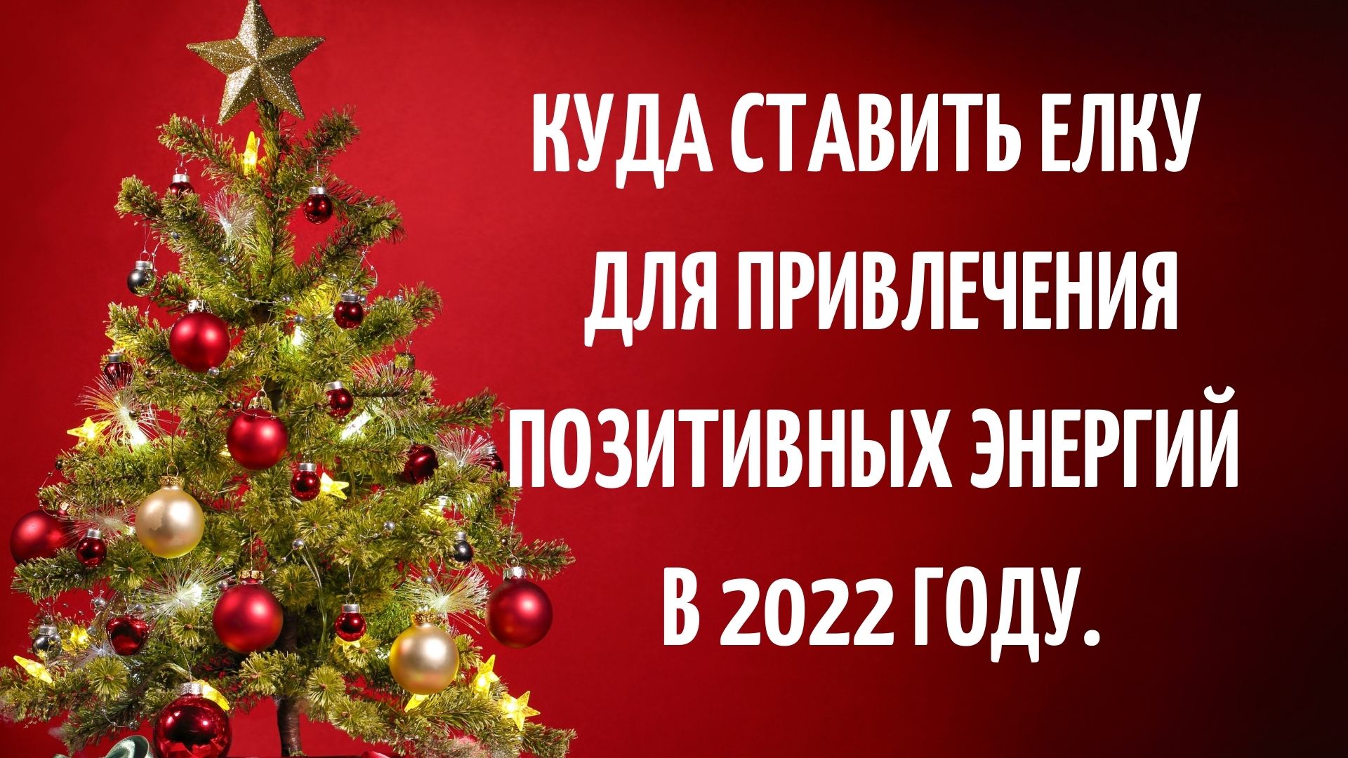 Куда поставить елку для активации позитивной энергии в новом 2022 году - советы фен-шуй.mp4