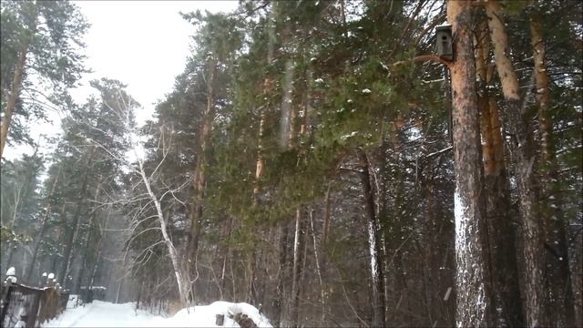 Стихи о жизни Совет сердца Татьяна Логиновская