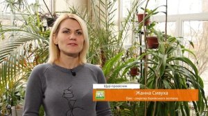 Щур-провісник зробив дивовижний прогноз
