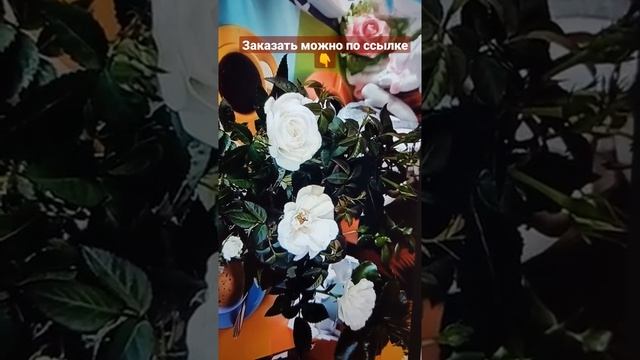 Карточка видео
