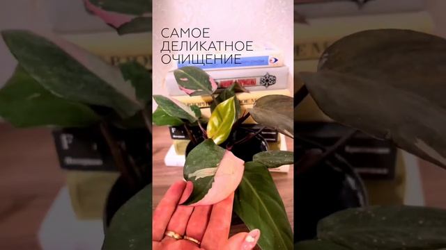 Это гель с муцином улитки от Крымской Натуральной Коллекции.mp4