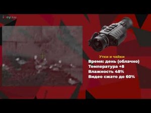 Тепловизор для охоты! Тепловизионный прицел с лазерным дальномером iRay Geni GL 35R.