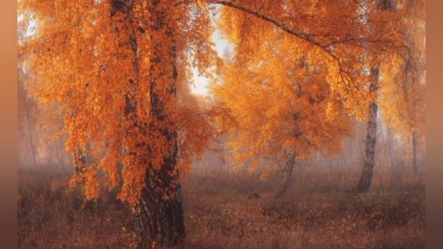 Н.А. Тарасов - Лесов прозрачных красота