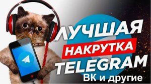 Как набрать подписчиков в ТЕЛЕГРАМ, ВК и другие соцсети.