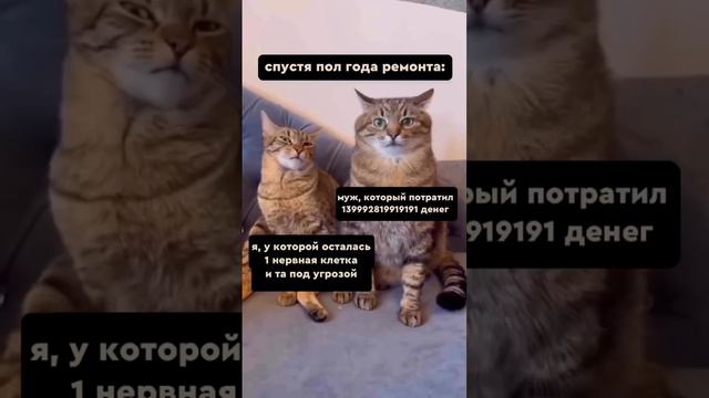Как быстро сделать ремонт?