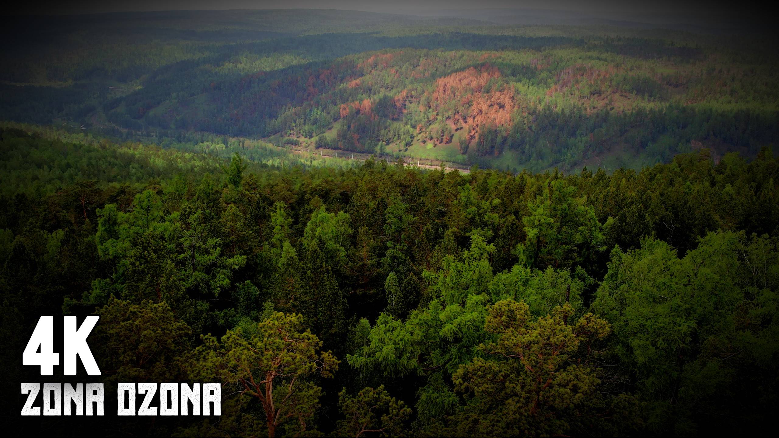 Бескрайние сибирские просторы