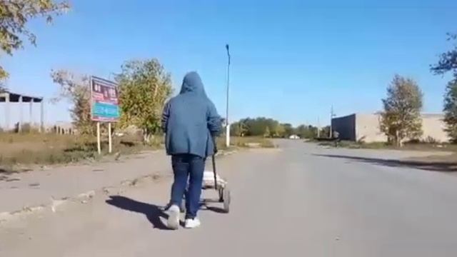 Гуляем с тачкой от дома до дома)