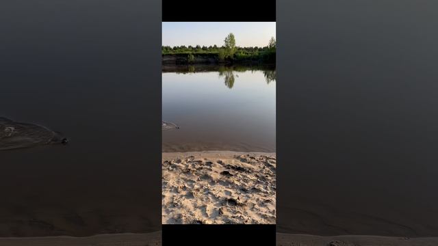 Любимое занятие