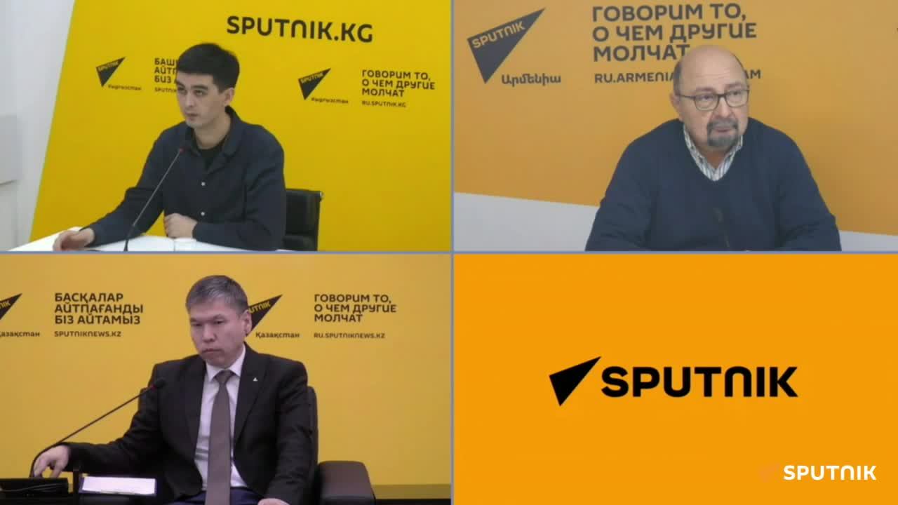 Видеомост "Трудовая миграция и меры социальной защиты мигрантов в странах ЕАЭС"