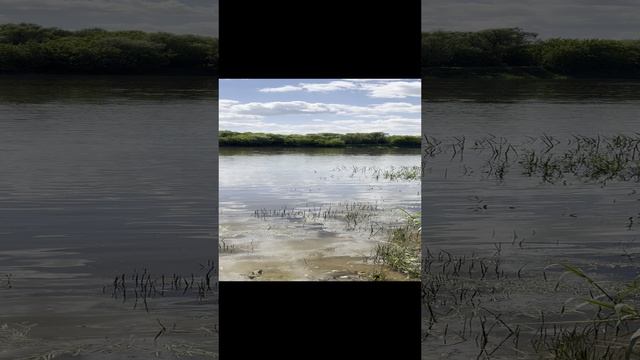 Рыбалка на Оке ! Обстановка на 8 июня 2022 г. Открытие сезона 2022. Разлив на Оке.
