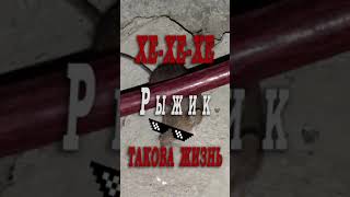 Такова жизнь