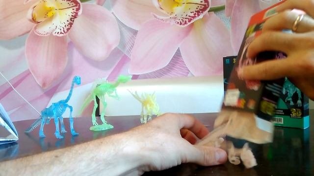 Игрушки скелеты динозавров. Сборные модели скелетов динозавров.
