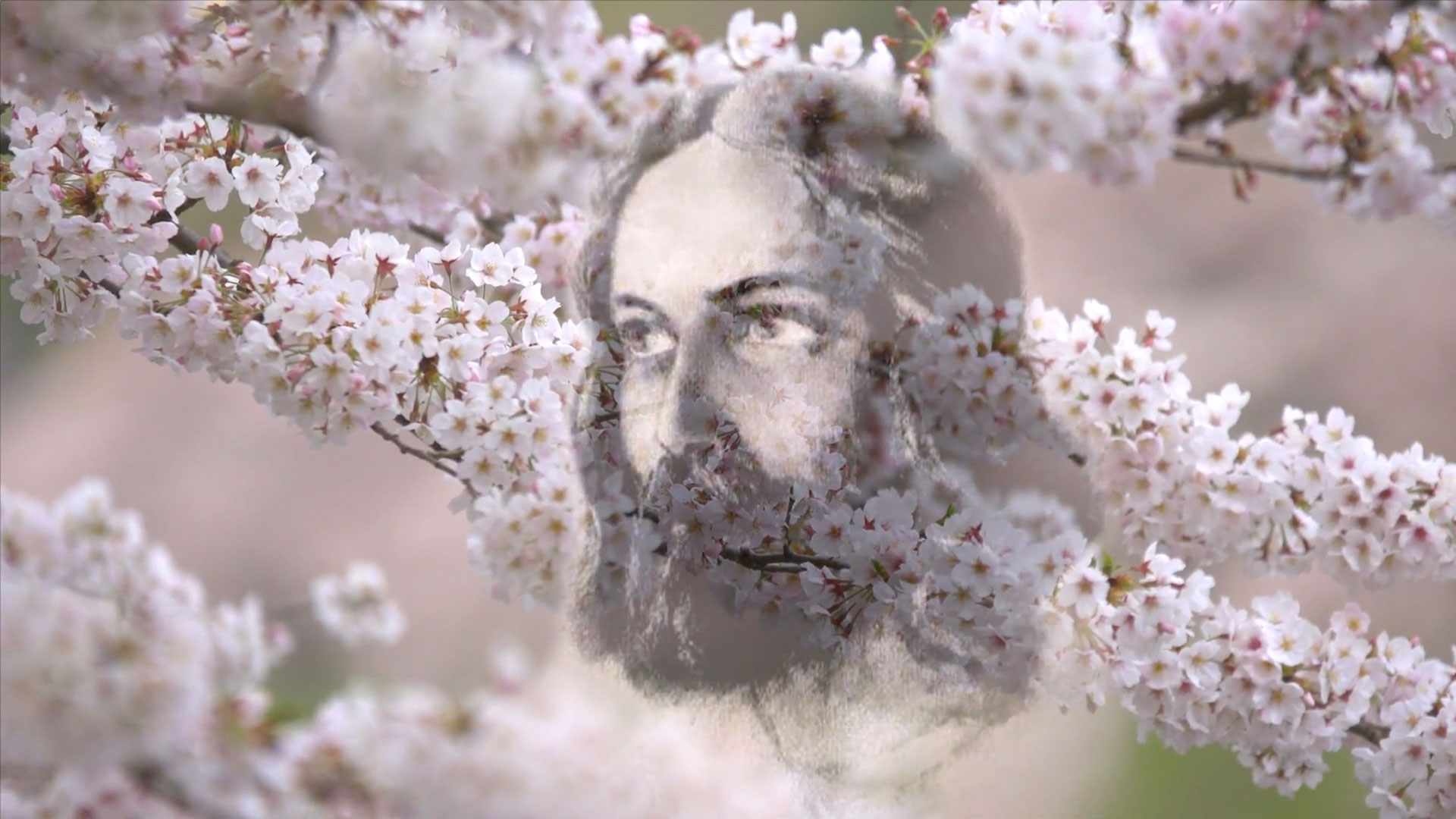 УЧИТЕЛЮ СЕРДЦА МОЕГО. Стихотворение Елены Александровны Туркка