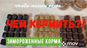 Чем кормить мальков и взрослых рыб. Заморозка. Артемия...