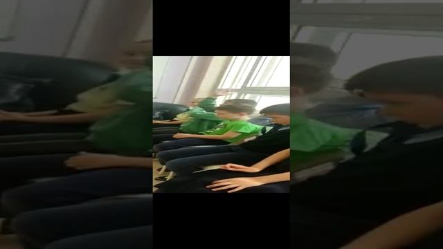 11 Seals.mp4