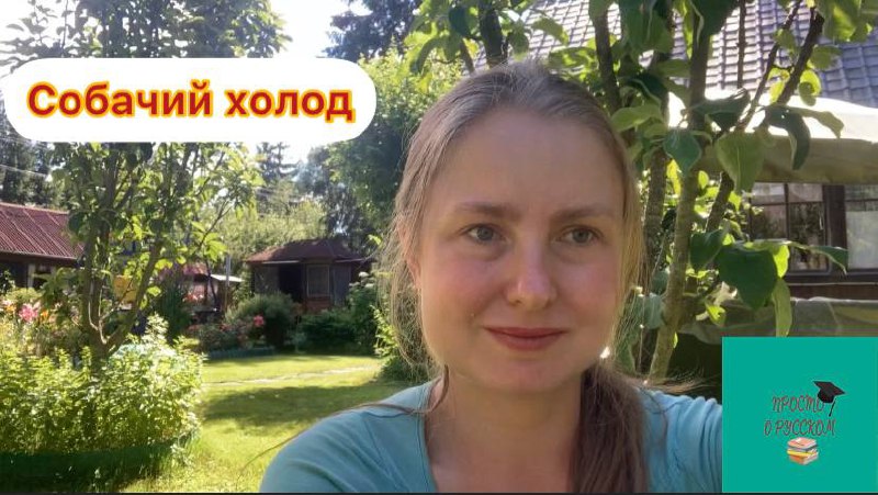 Почему холод собачий?