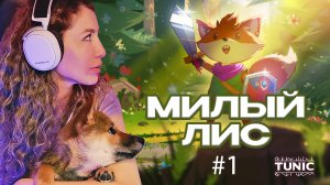 РЫЖИЙ ДЕМОН TUNIC #1