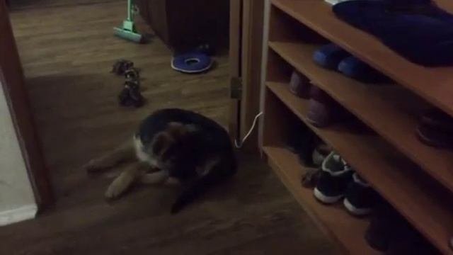 Поигрульки.mp4