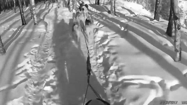 ХФ. КОЛОНИЯ; Eisbrecher - Volle Kraft Voraus и хаски