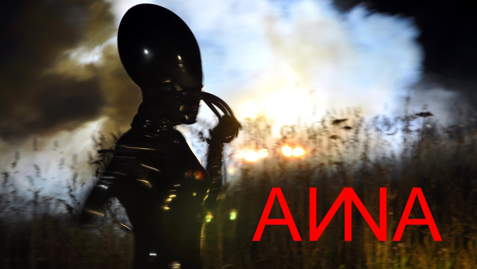 VS-ANNA