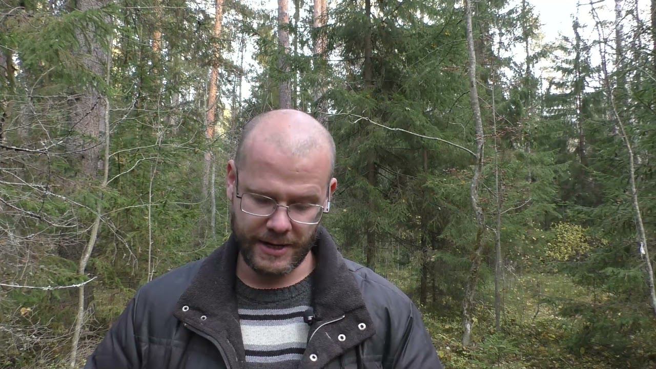 Времена года. Сентябрь