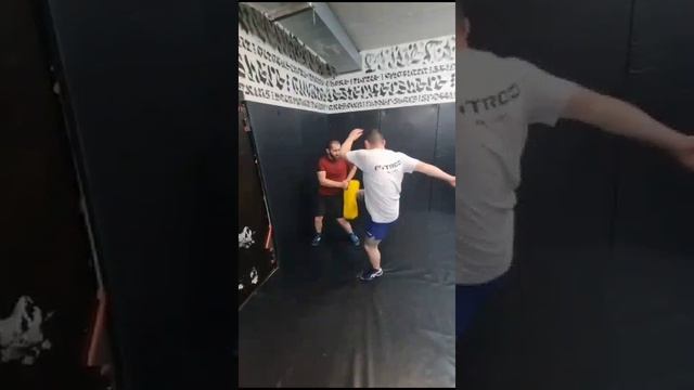 VID-20231210-WA0009.mp4