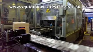 Маркировка картонных коробов каплеструйным способом