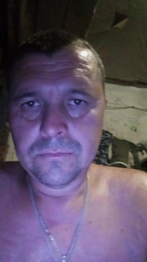 мир через лобовое трасса