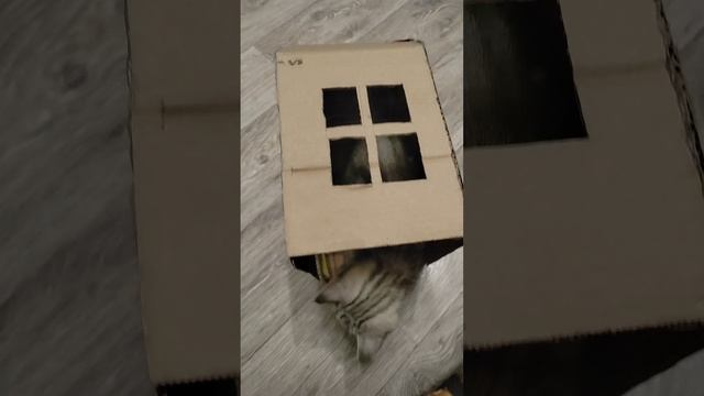 Хоромы