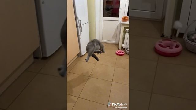 276e8b31f2578a2d10f08c3b687cb408.mp4