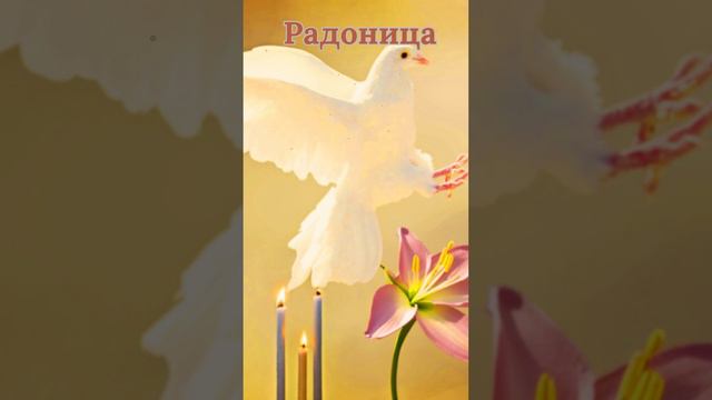Радоница.🙏Родительский день🕊