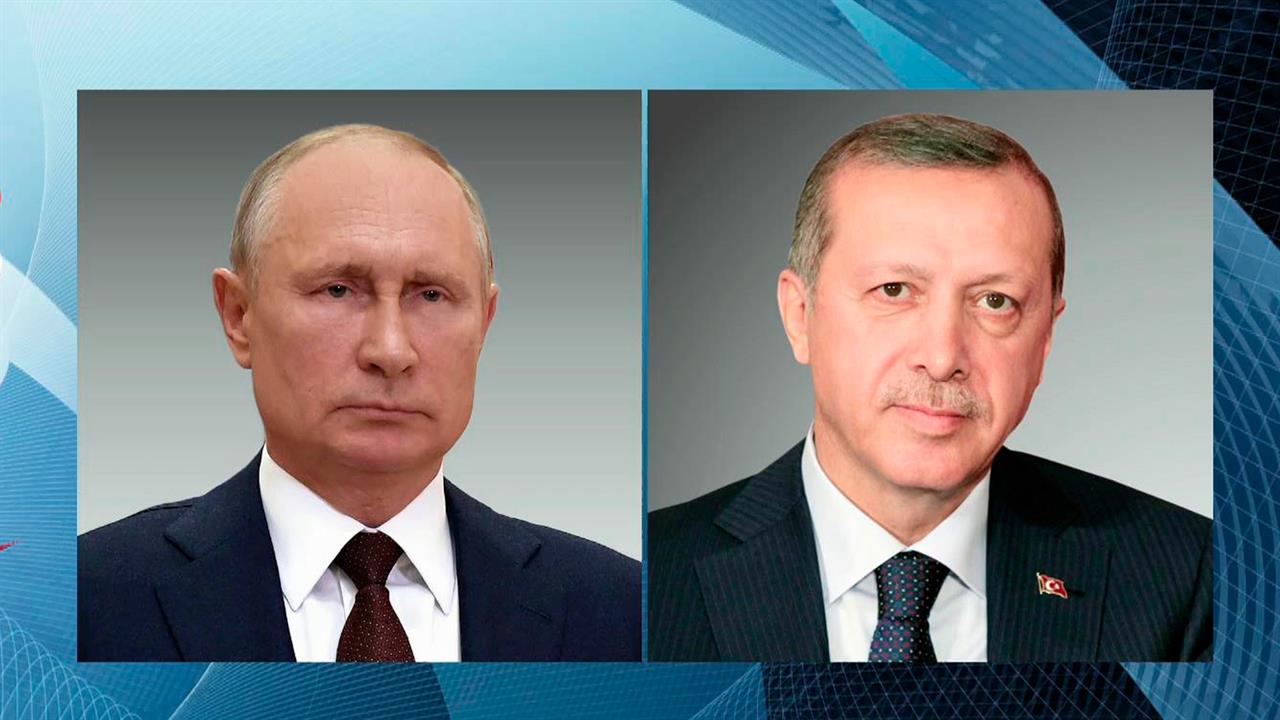 Владимир Путин и Реджеп Тайип Эрдоган обсудили по телефону продление "зерновой сделки"