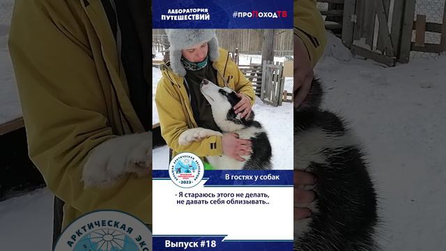 Видеодневник БАЭ. Выпуск №18. А мы тут гладимся! #shorts