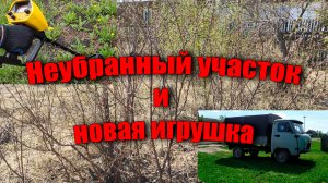 Все, что успели снять за месяц...