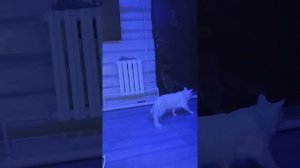 VN20230706_095551.mp4